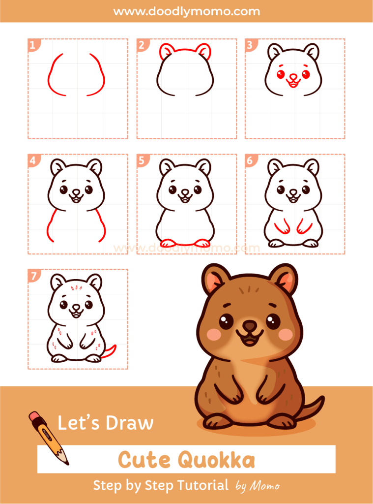 How to Draw a Cute Quokka: Easy Step by Step Tutorial for Kids – Doodlymomo